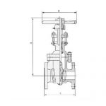 A105 FLANGED GATE VALVE Z41H