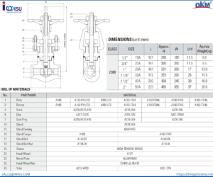VAN CỔNG A105 CLASS 2500 - VAN CỔNG HÀN QUỐC DKM