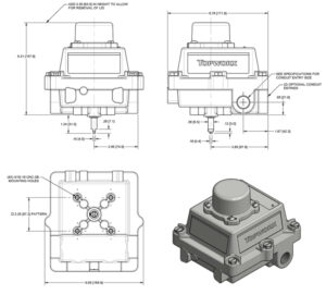 TOPWORX POSITIONER DXP - BỘ ĐIỀU KHIỂN TopWorx ™ DXP